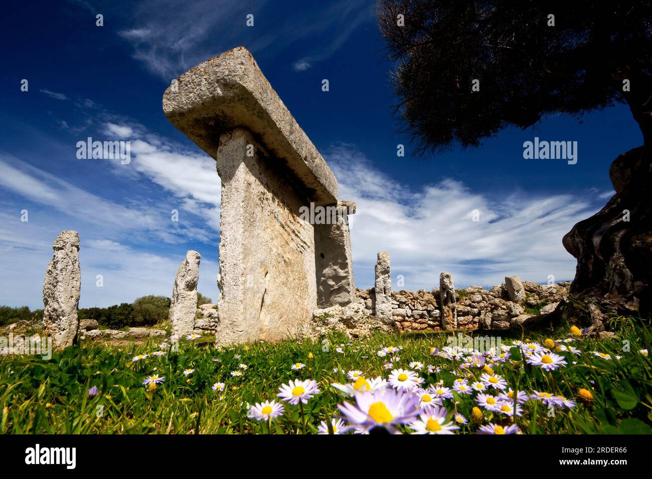 Talayotic sanctuary of Talatí de dalt, Taula site. Migjorn.Menorca ...