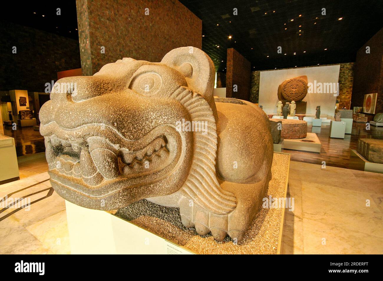 Ocelotl-Cuauhxicalli . National Museum of Anthropology. State of Mexico ...