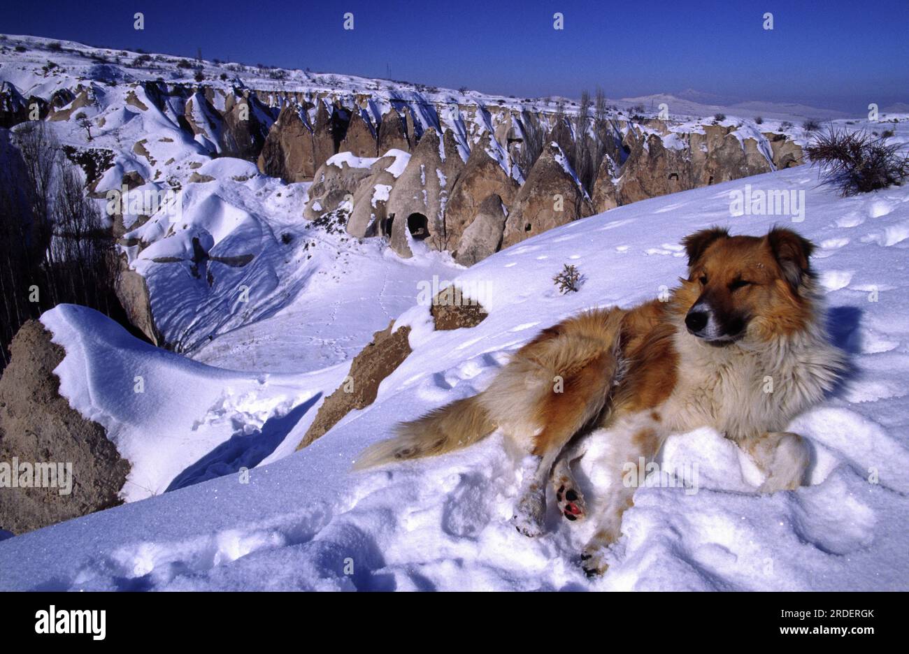 Bagil hi-res stock photography and images - Alamy