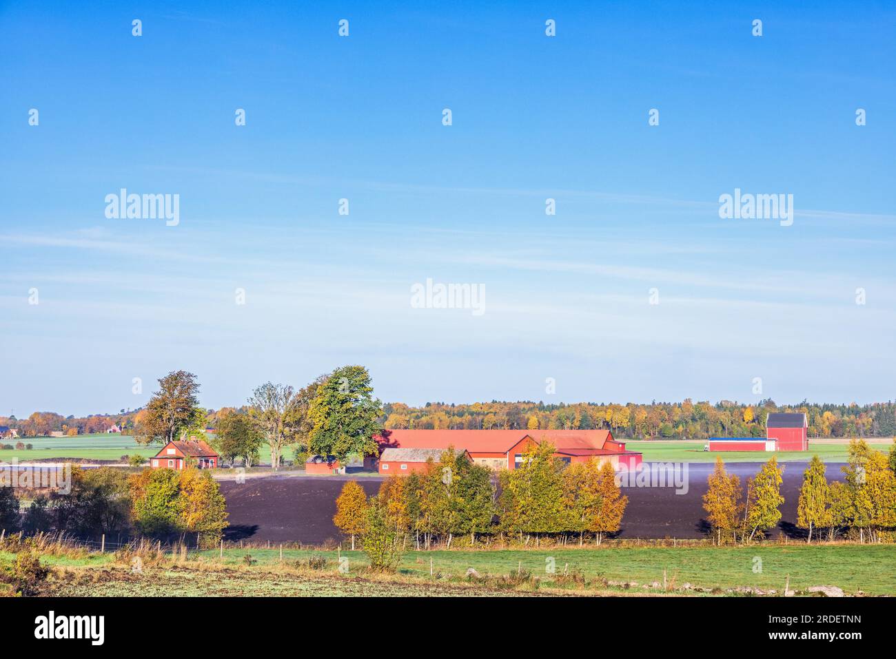 Swedish countryside hi-res stock photography and images - Alamy