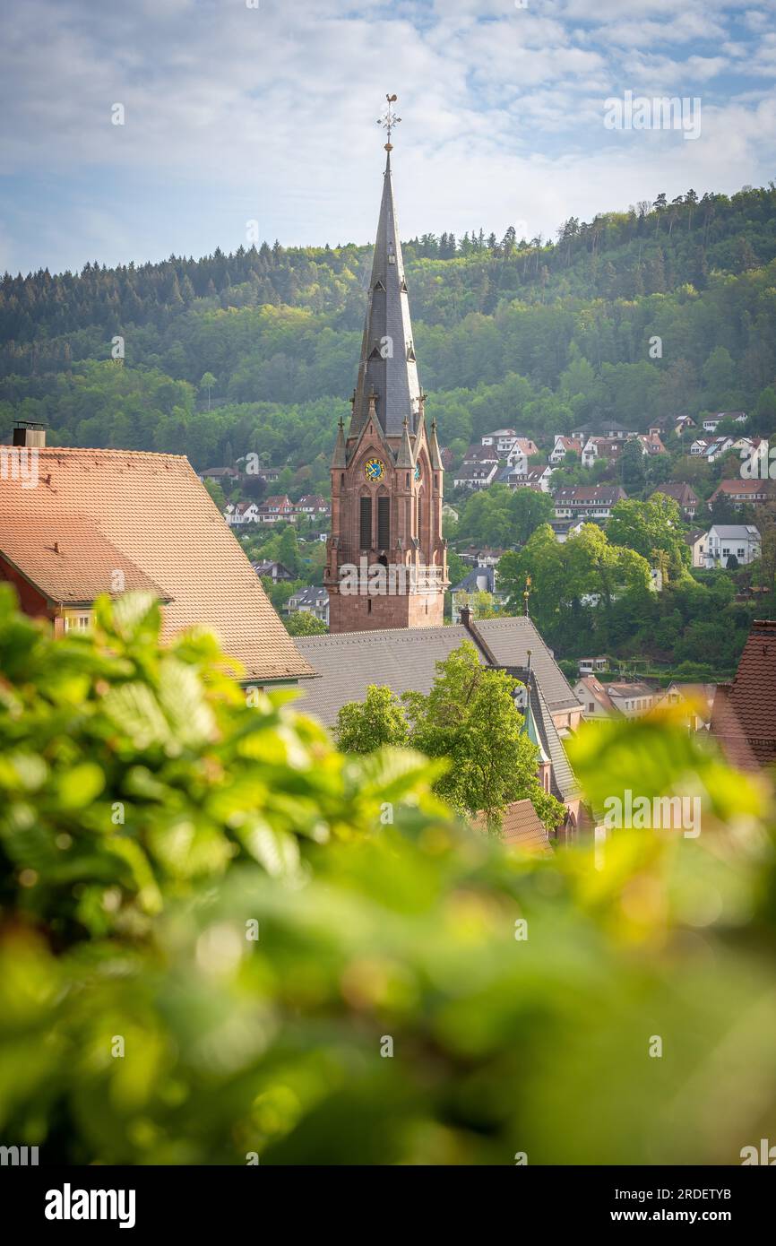 Church tower in the green city centre, Calw, Black Forest, Germany ...