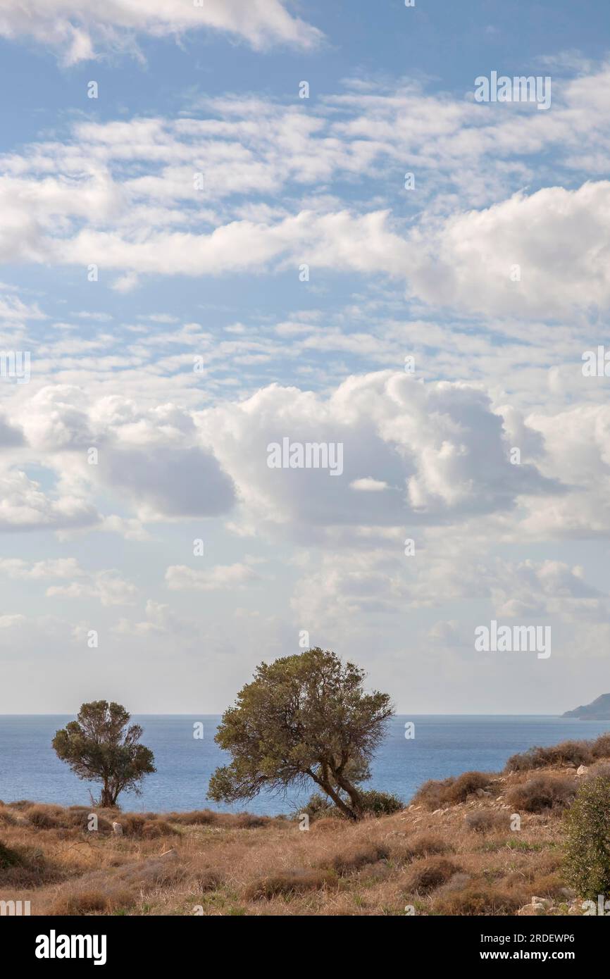 South west cyprus hi-res stock photography and images - Alamy