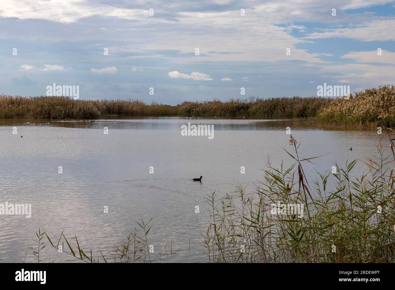 Southern port city of limassol hi-res stock photography and images - Alamy