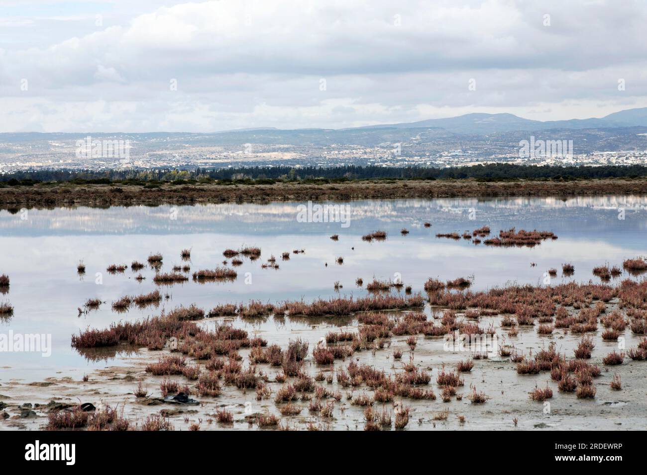 Southern port city of limassol hi-res stock photography and images - Alamy
