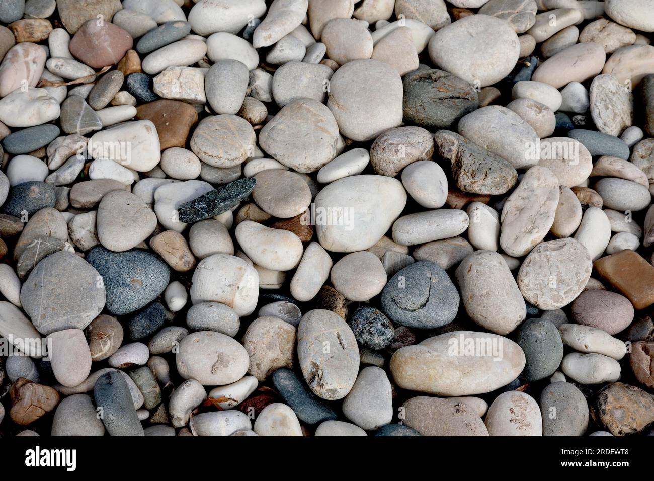 Pebbles on the beach Stock Photo - Alamy