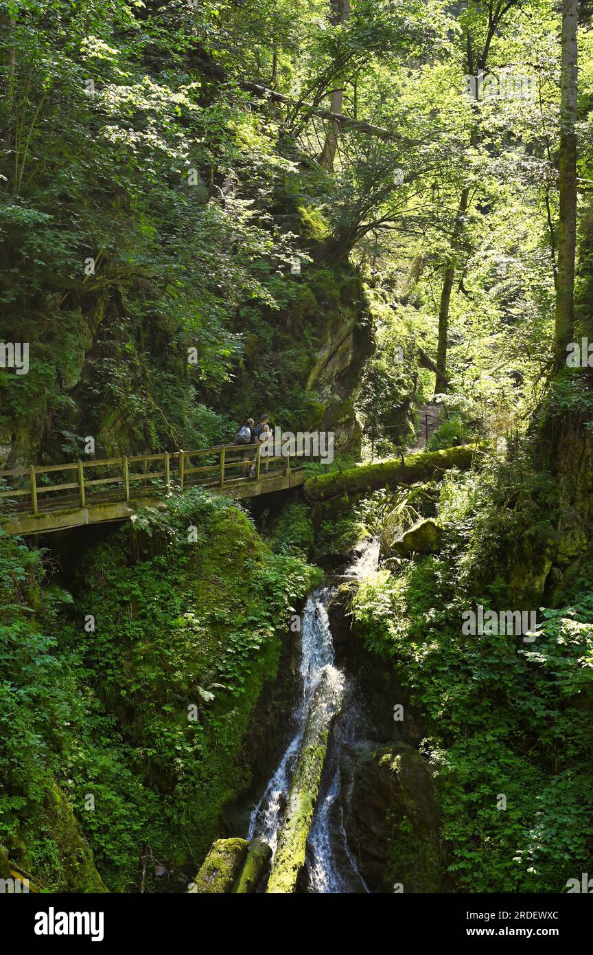 Wanderlust in the untouched primeval forest Black Forest. Two women ...