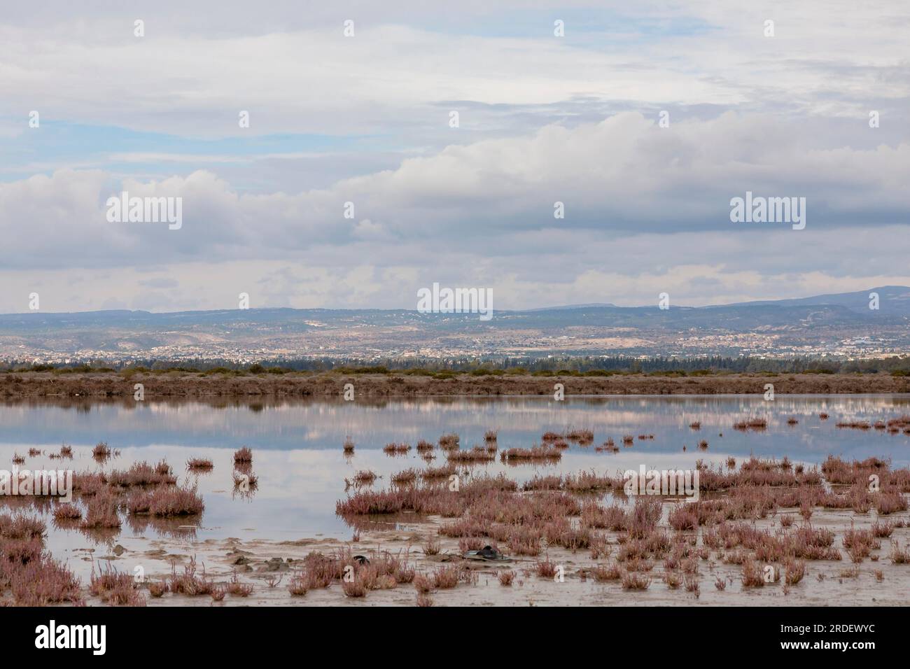Salt lake of Akrotiri, port city of Lemesos (Limassol) on Cyprus Stock ...
