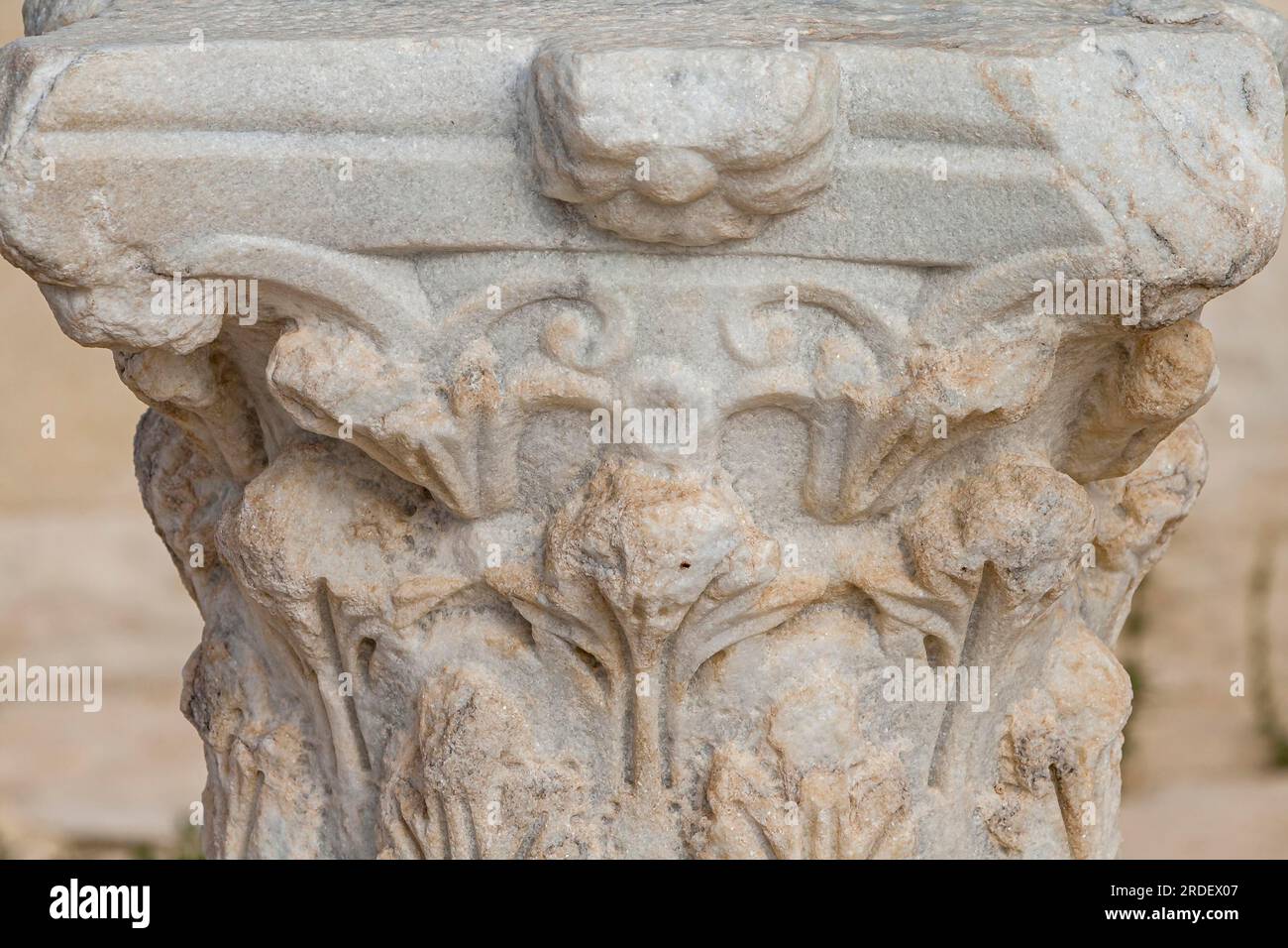 Ancient column with column head, capital, abacus, Kourion, Cyprus Stock ...