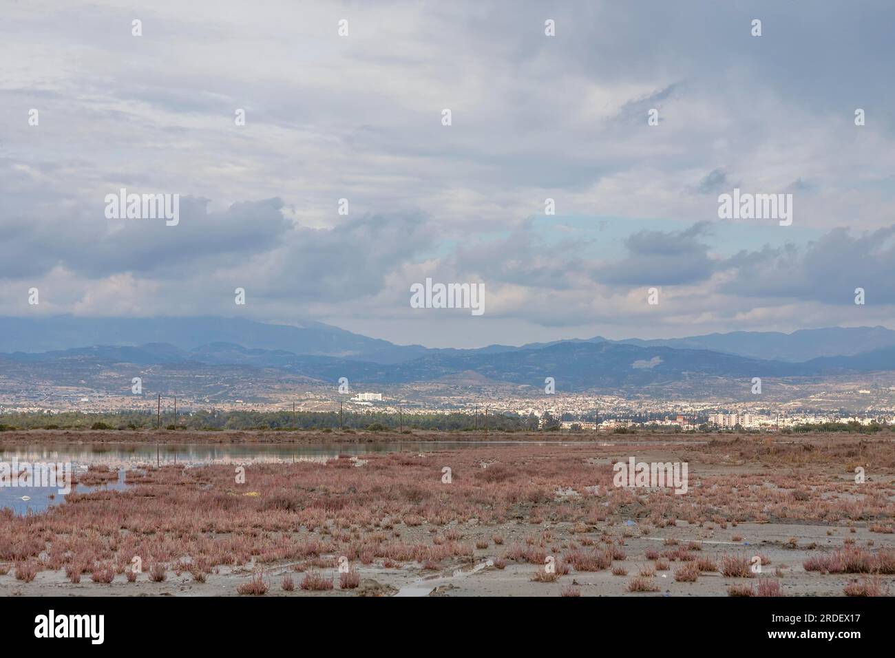 Southern port city of limassol hi-res stock photography and images - Alamy