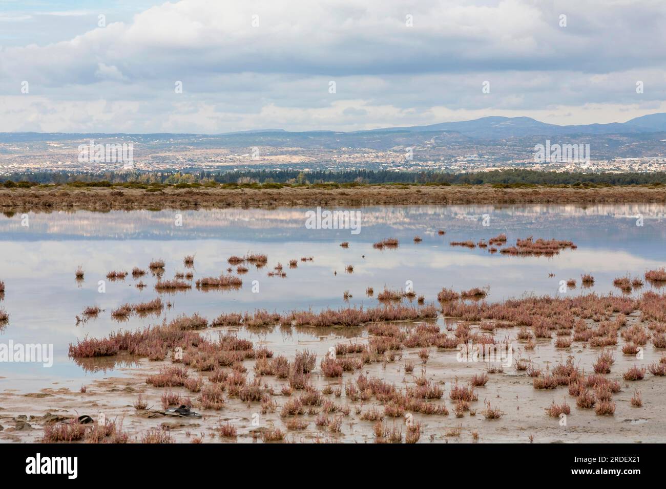 Salt lake of Akrotiri, port city of Lemesos (Limassol) on Cyprus Stock ...