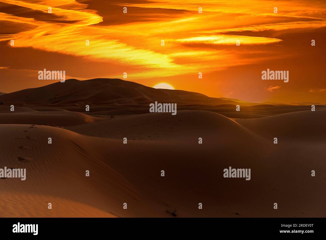 The colors of the sky glow as the sun rises on the Sahara Desert in ...