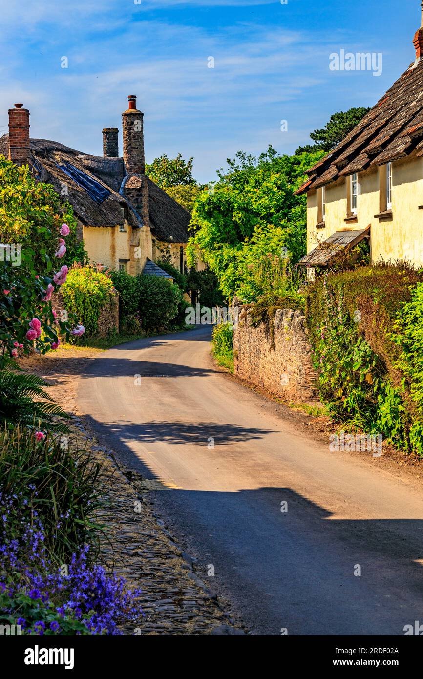 Traditional stone cottages line the road on the Holnicote Estate ...