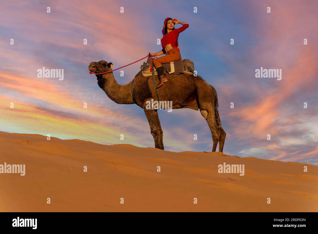 A beautiful model rides a camel through the Saharan Desert in Morocco ...