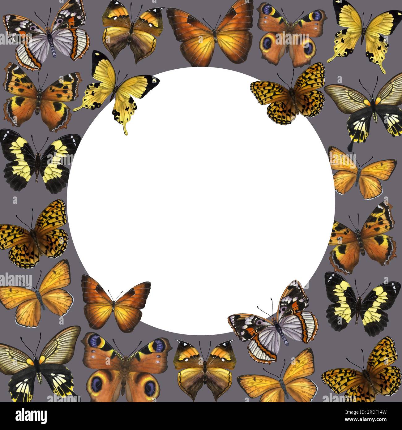 Round frame beautiful butterflies, yellow orange. Hand-drawn watercolor ...