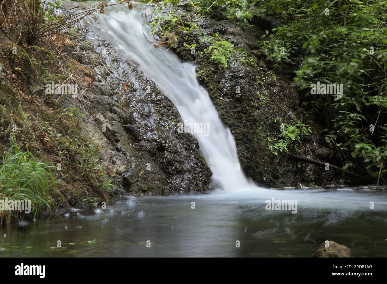 North of Gran Canaria, freshwater running in Barranco de Azuaje ravine ...