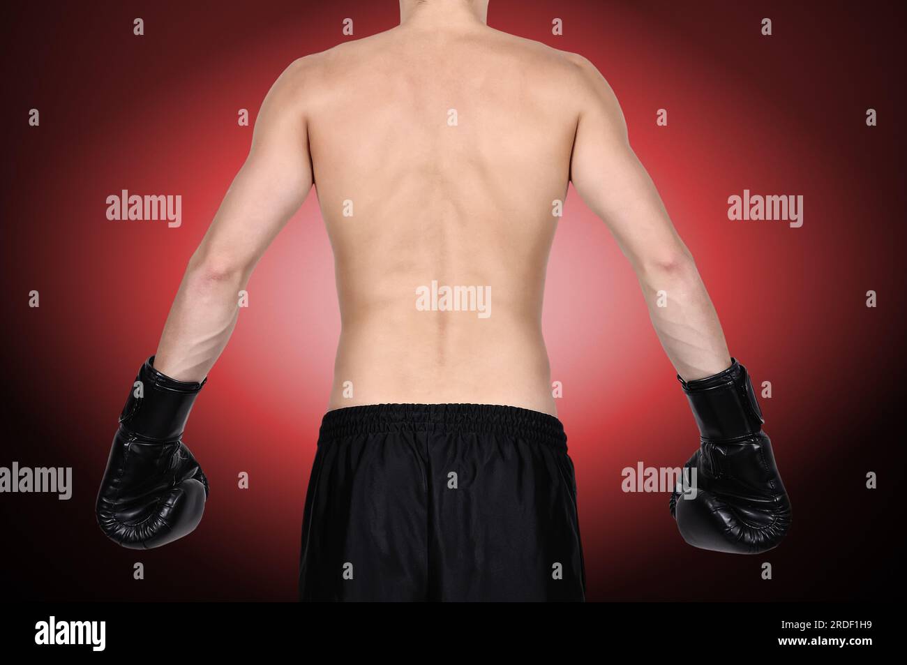 boxer standing with his back under the spotlight Stock Photo - Alamy