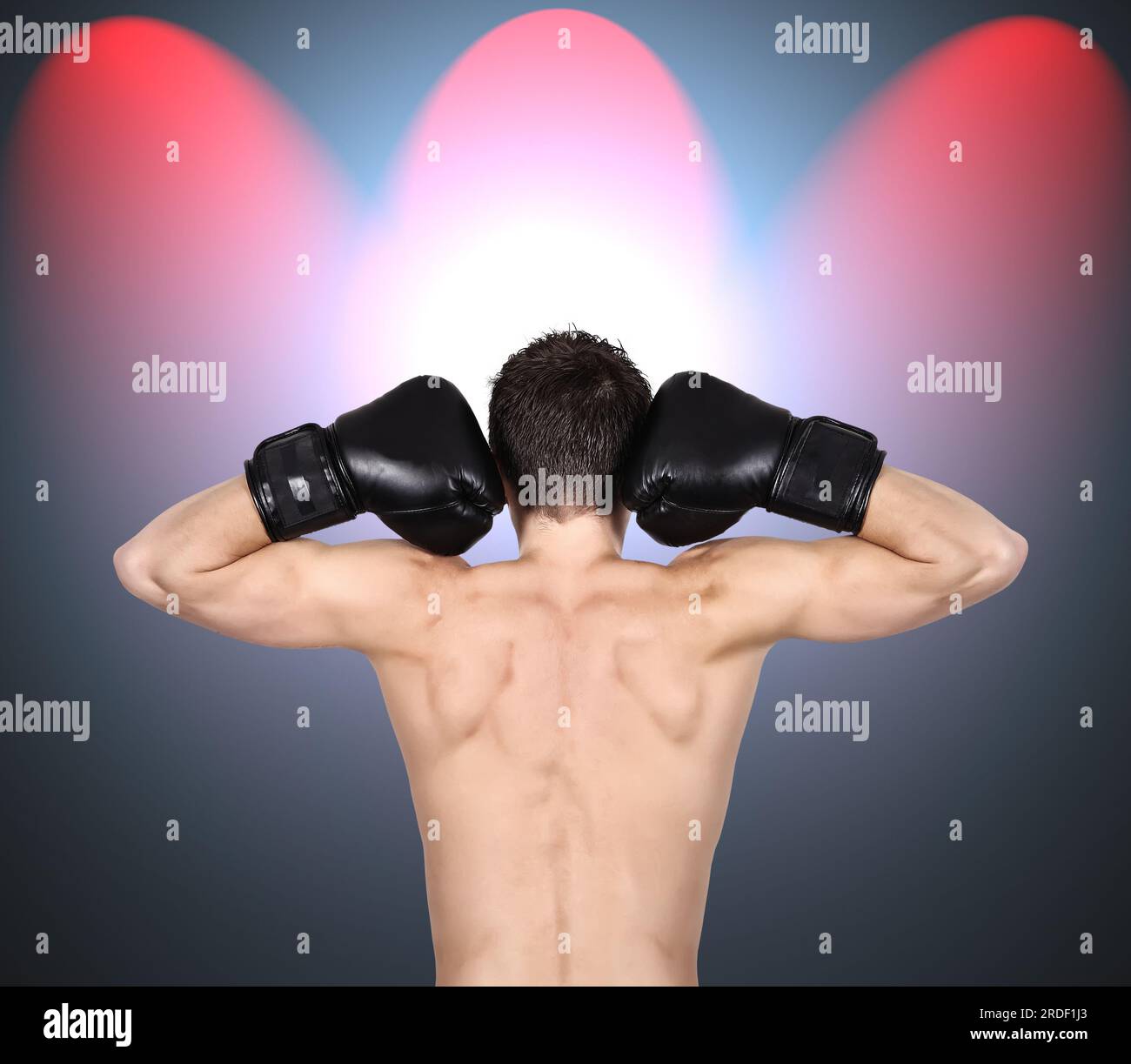 boxer standing with his back under the spotlight Stock Photo - Alamy