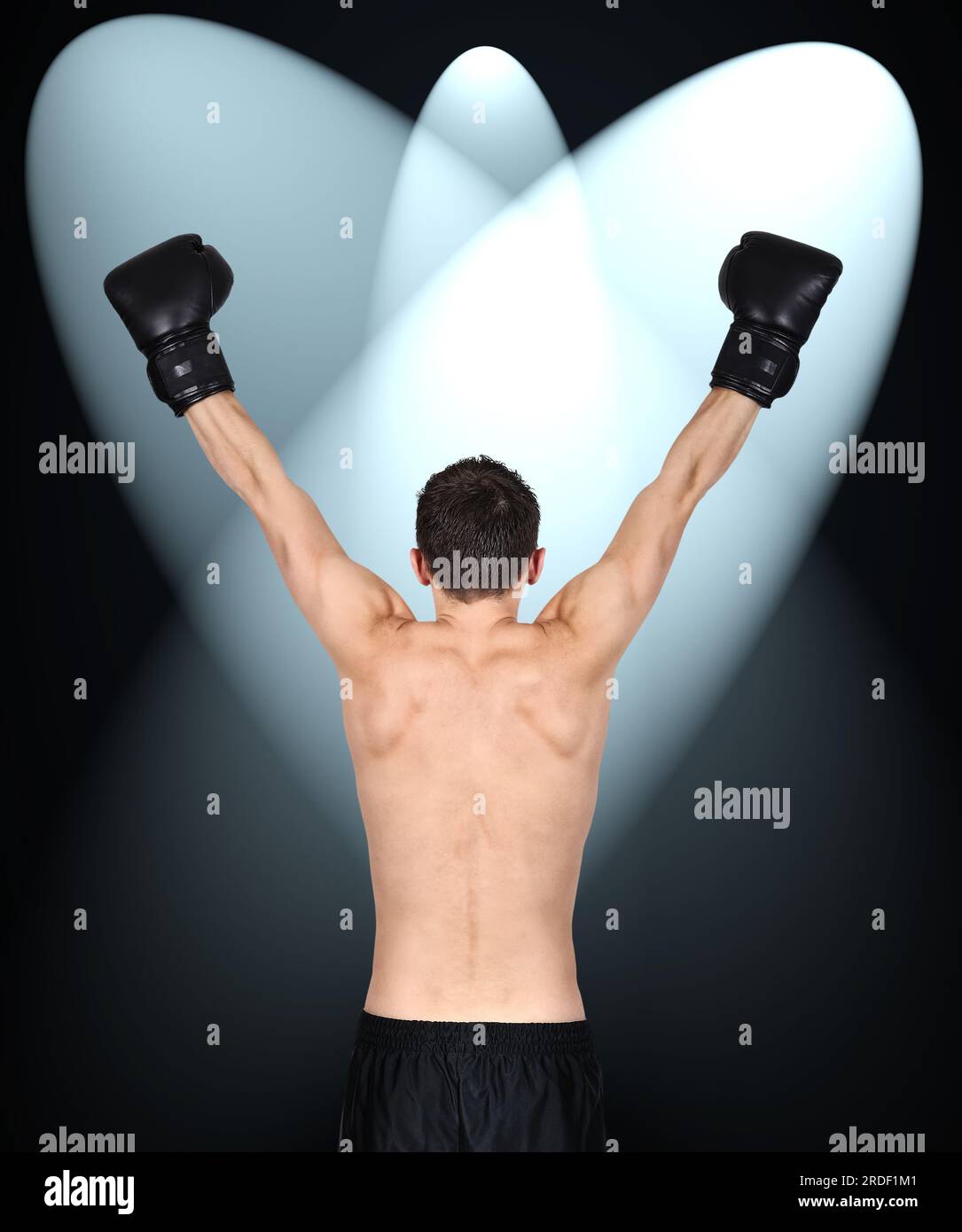 winner boxer standing with his back under the spotlight Stock Photo - Alamy
