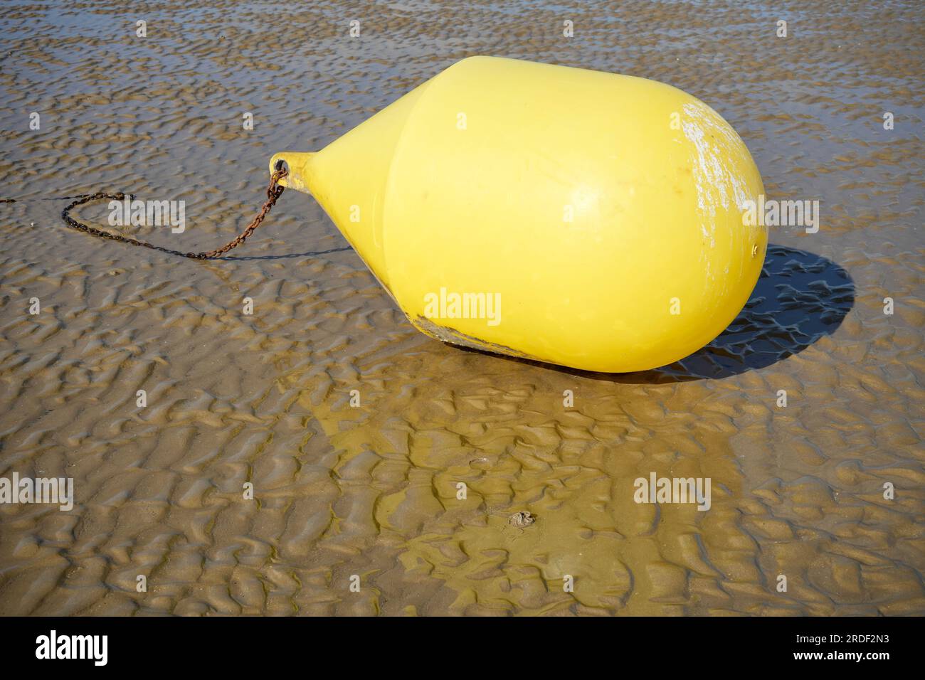 Yellow Buoy in a Beach in Normandy Francer surrounded by wet sand with ...