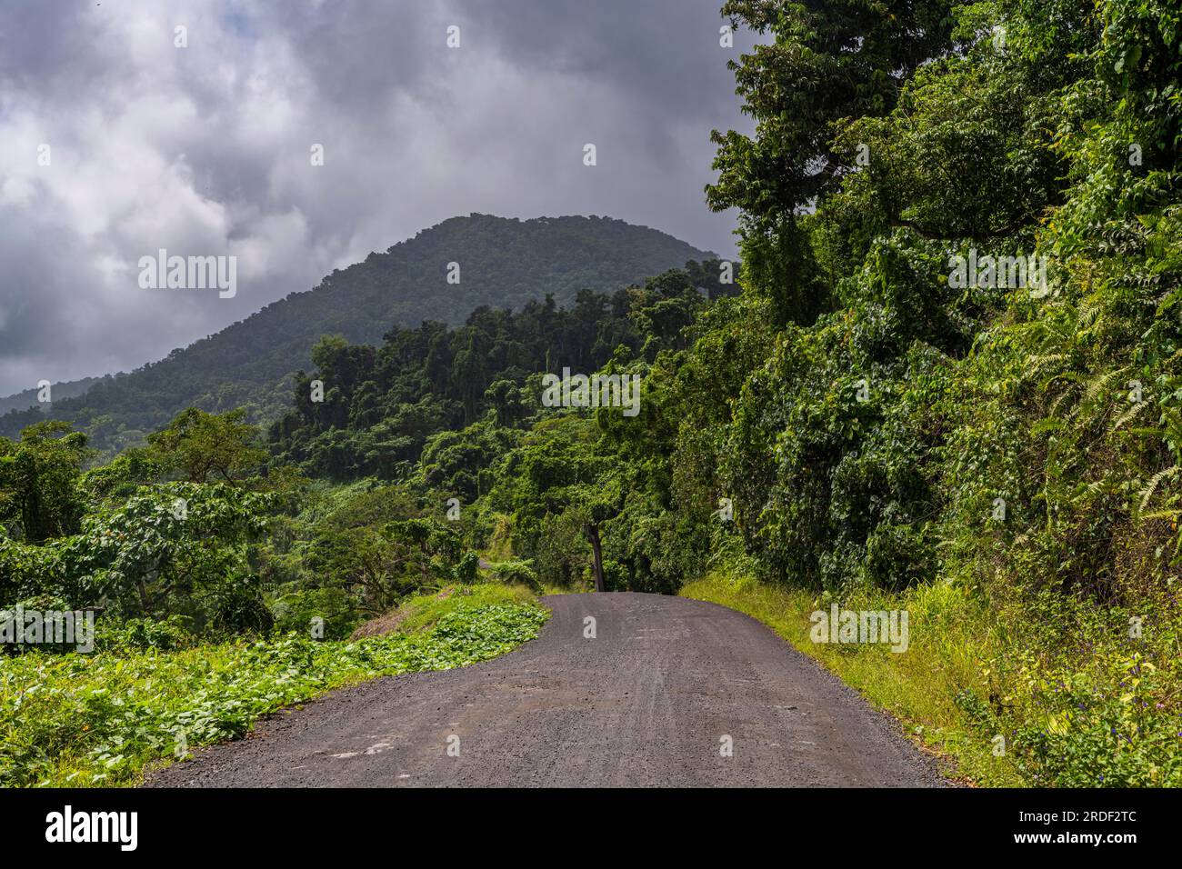 Dirt road, Taveuni, Fiji, South Pacific Stock Photo - Alamy