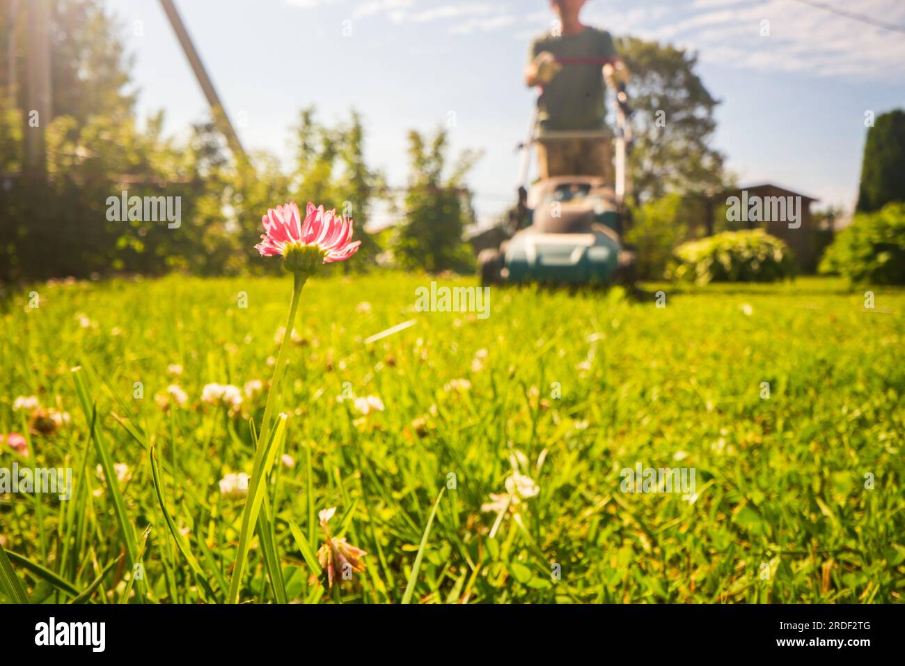 Lawn mover on green grass in modern garden or backyard. Machine for ...