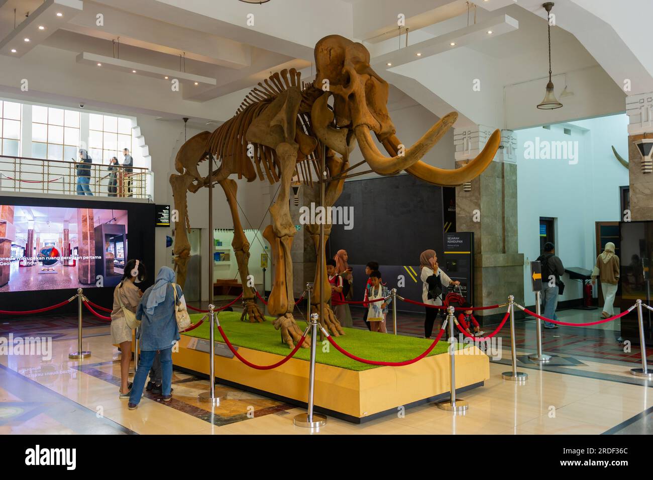 Geologi museum hi-res stock photography and images - Alamy