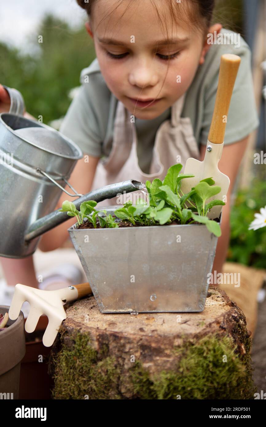 Woman plants salad in garden hi-res stock photography and images - Alamy