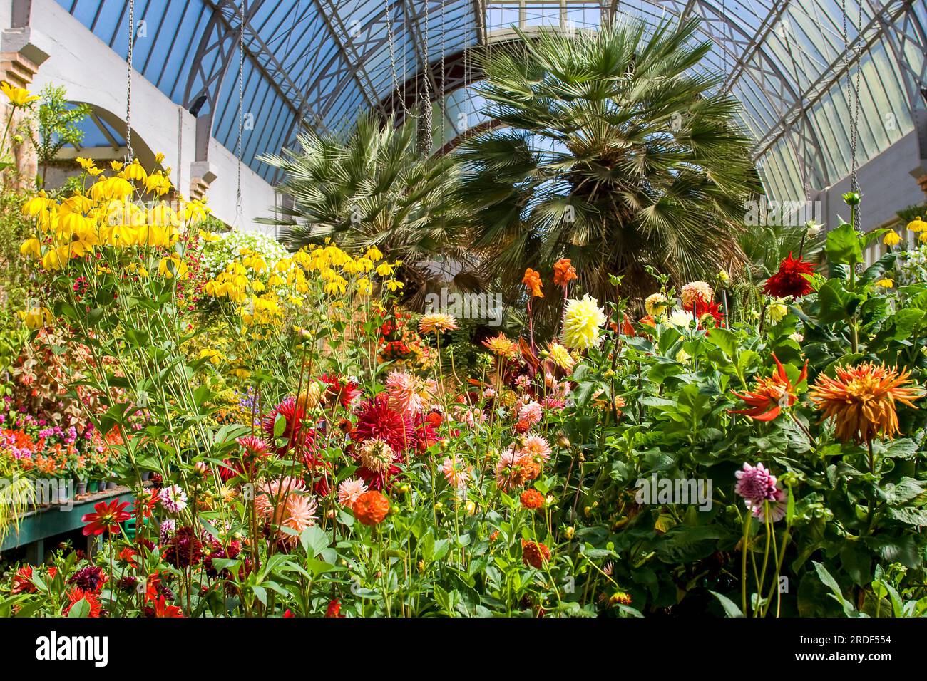 Victorian Conservatory Images