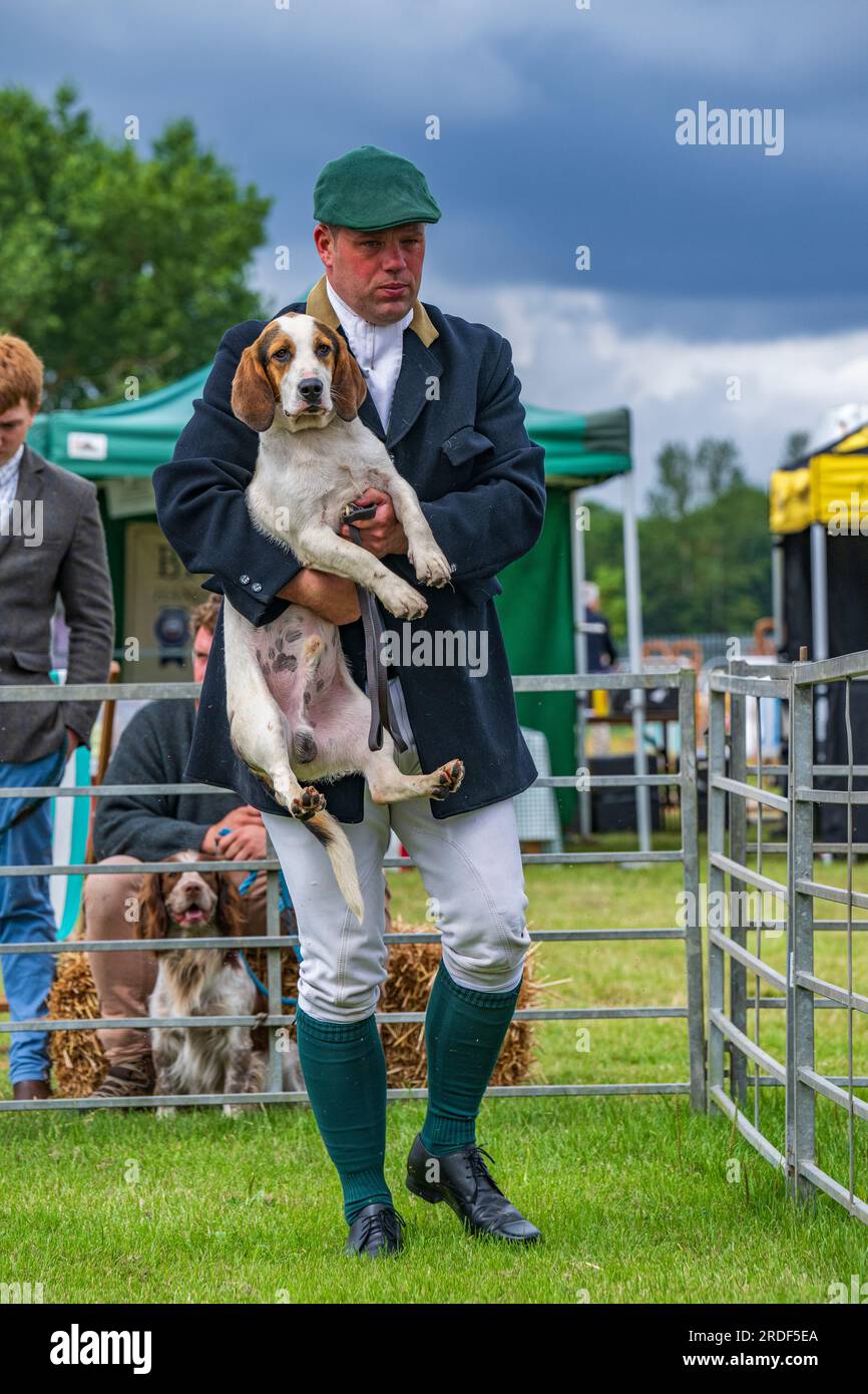 The Showground, Peterborough, UK – In addition to Fox Hounds the ...