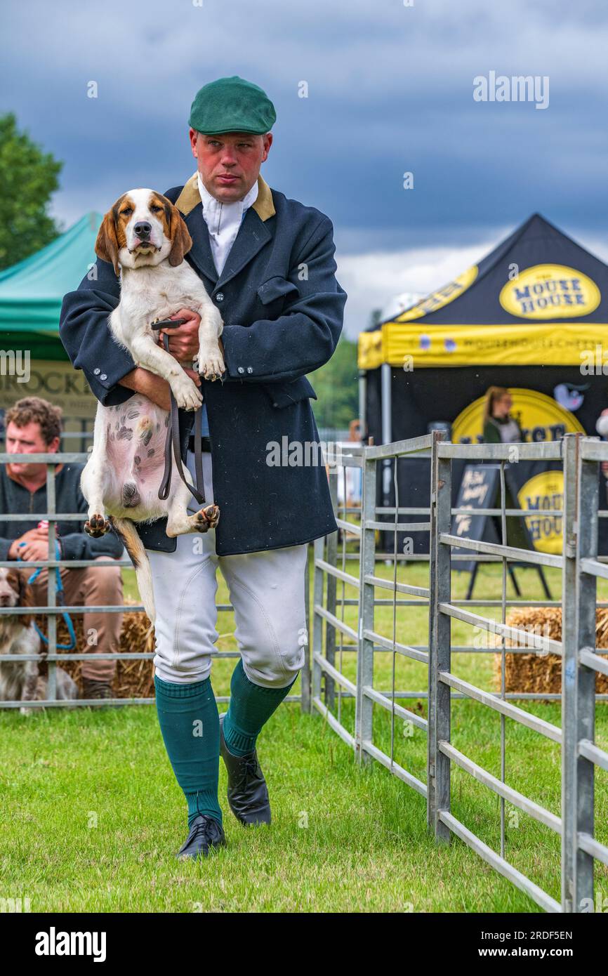 The Showground, Peterborough, UK – In addition to Fox Hounds the ...