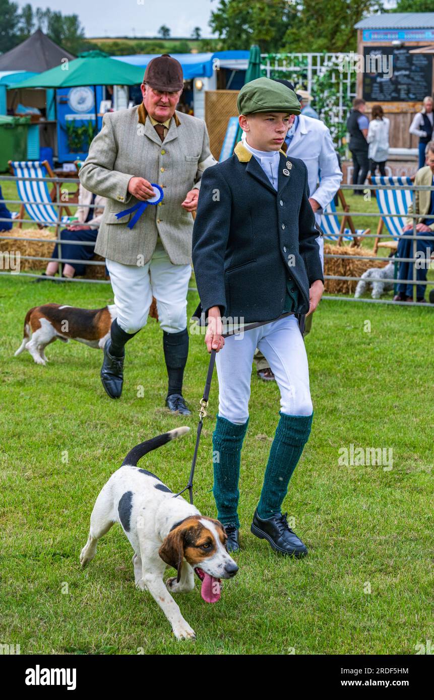 The Showground, Peterborough, UK – In addition to Fox Hounds the ...