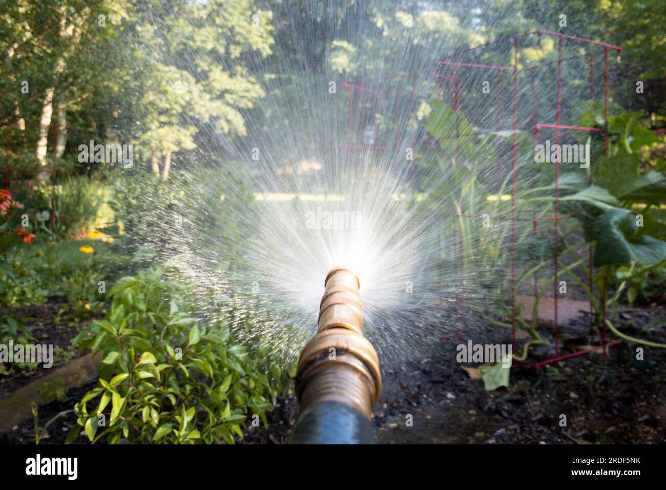 Spraying grass garden hi-res stock photography and images - Alamy