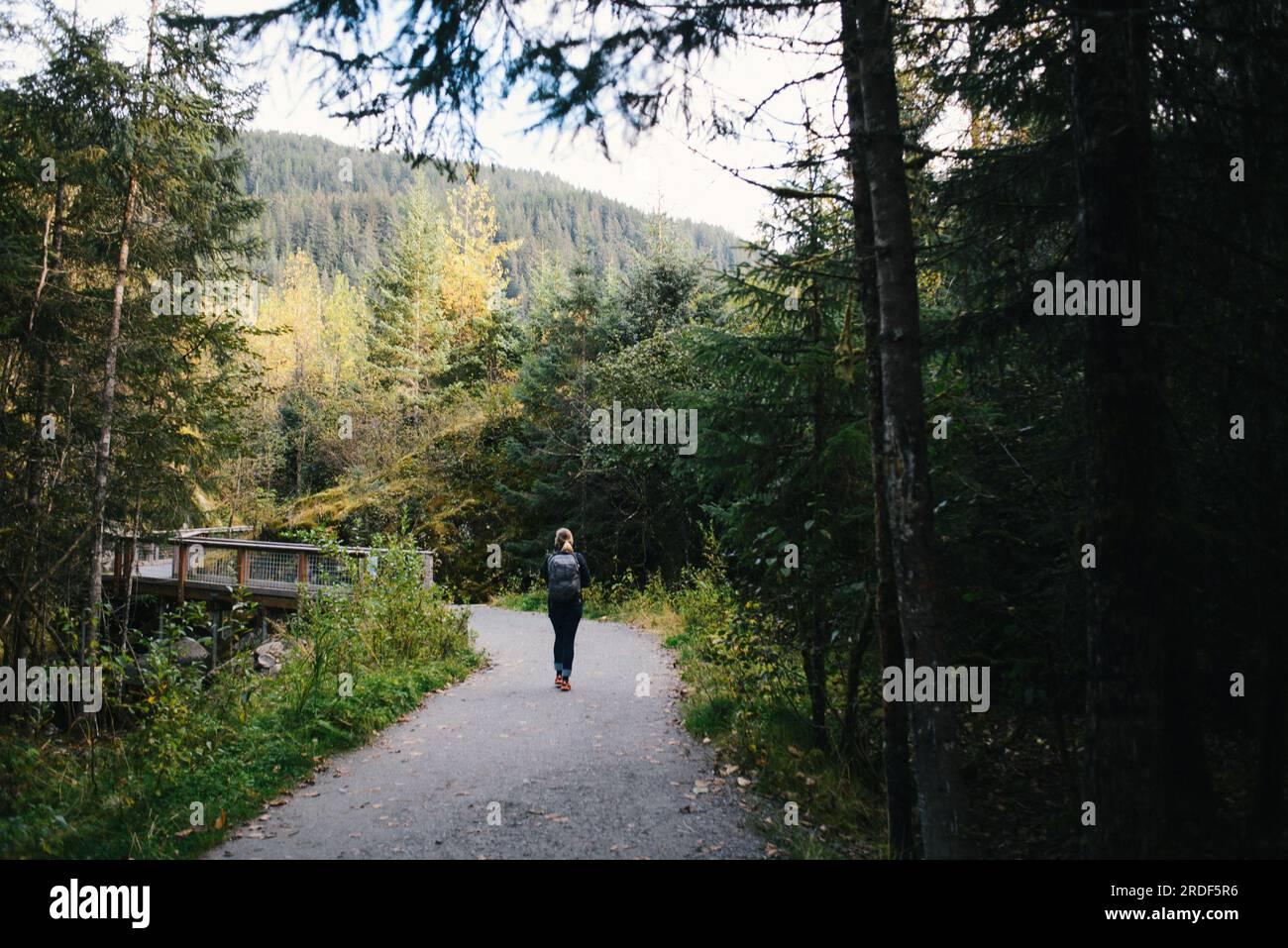 Young Woman Hiking Trail In The Alaskan Woods Stock Photo - Alamy