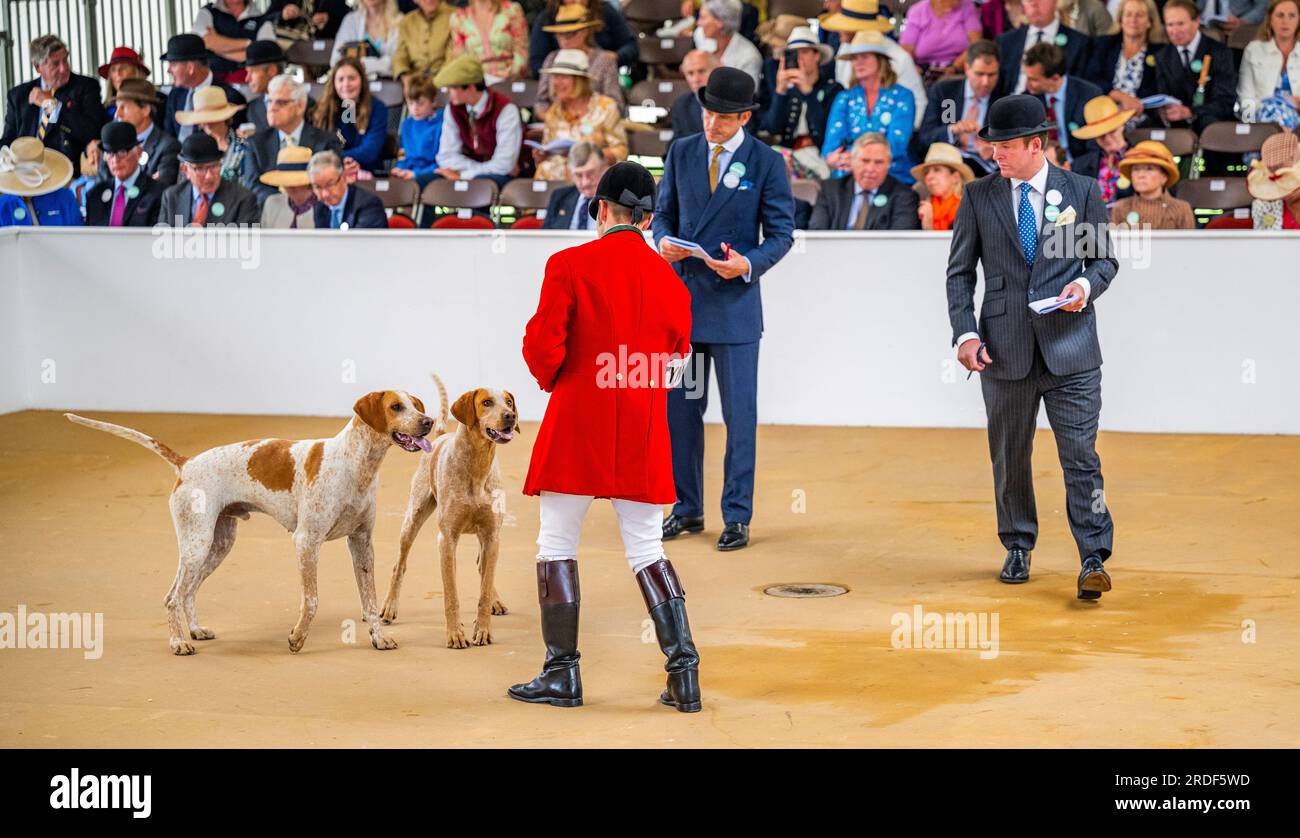 The Showground, Peterborough, UK – In addition to Fox Hounds the ...