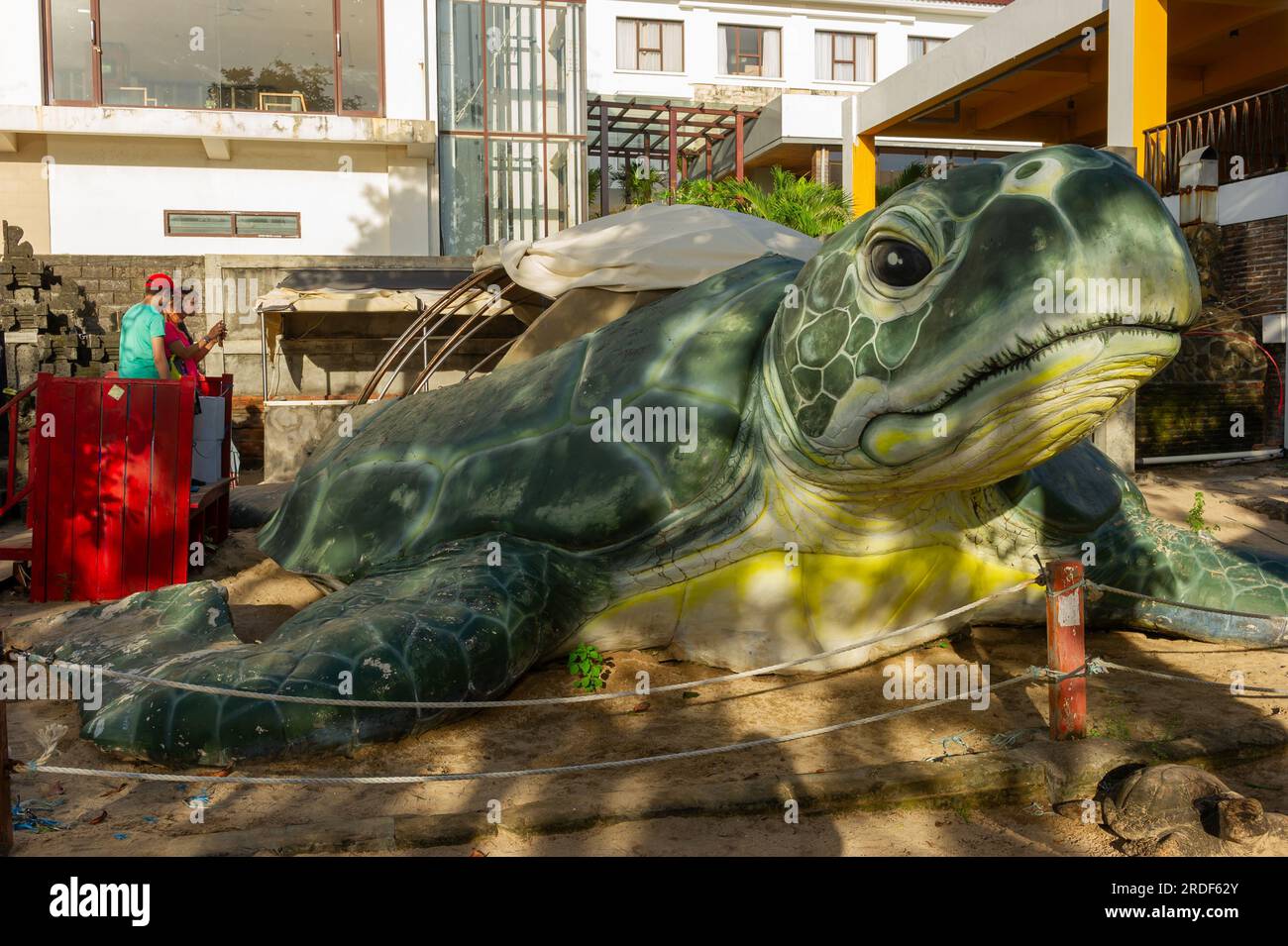 A Sea Turtle Eggs Nest at Bali Sea Turtle Society, Kuta Beach, Bali ...