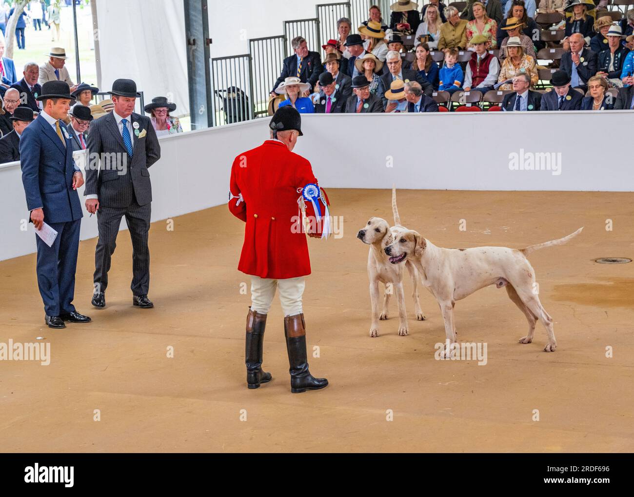 Largest working scent hound show hi-res stock photography and images ...