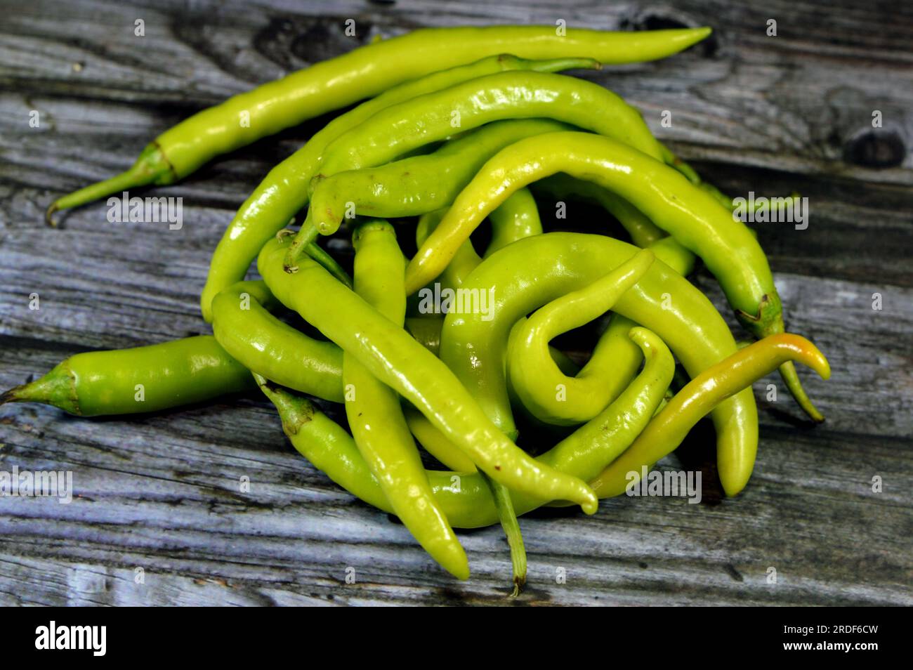 pile of fresh organic Green chilies peppers, varieties of the berry ...