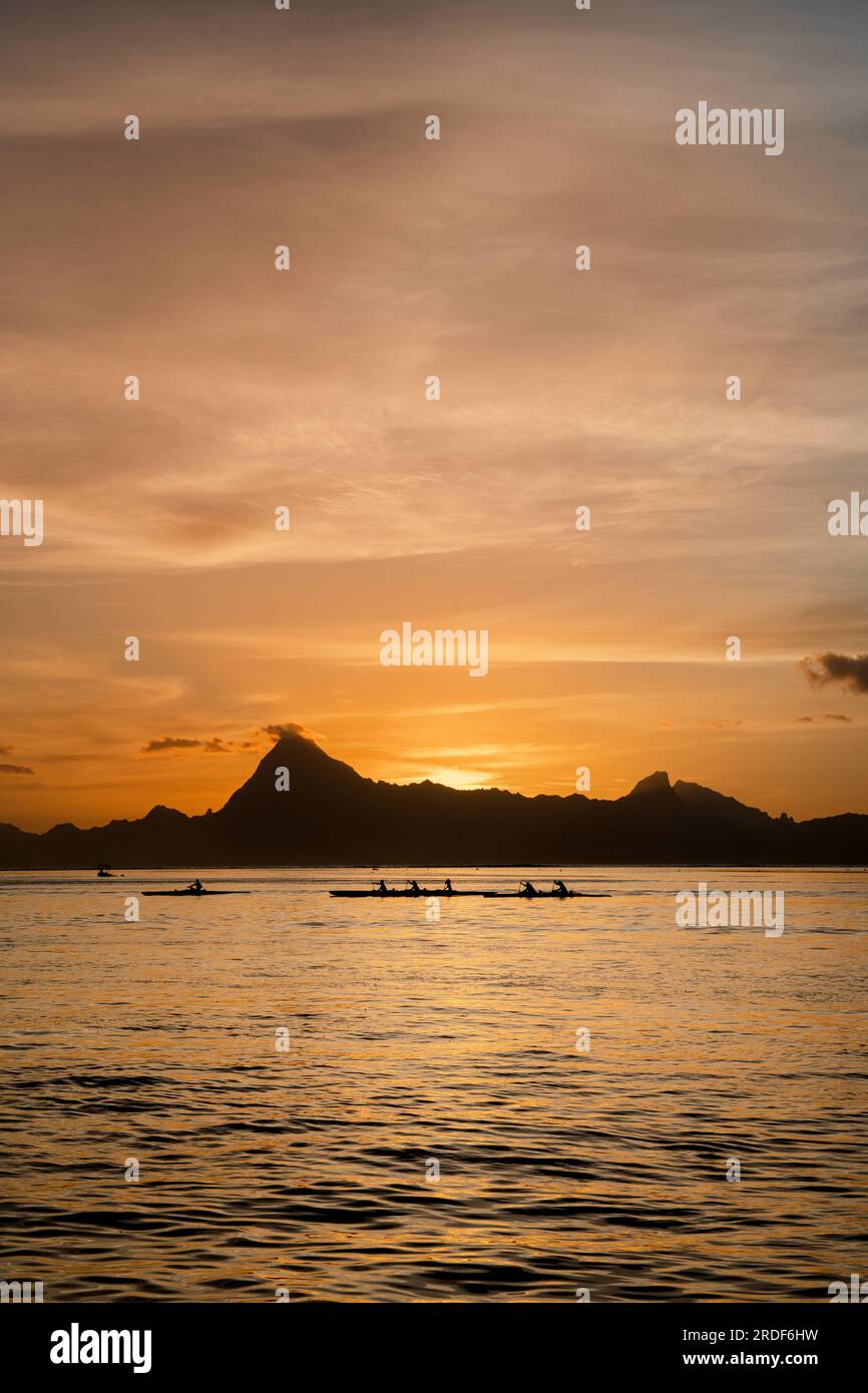 Sunset view Moorea island French Polynesia group of canoes Stock Photo ...