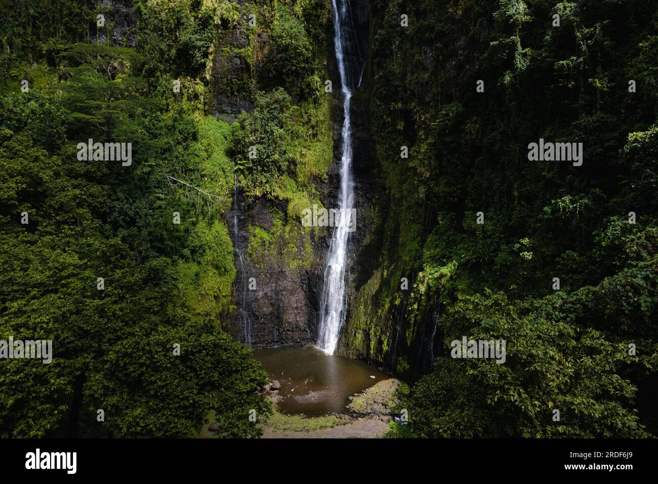 Clear beach in bora bora hi-res stock photography and images - Alamy