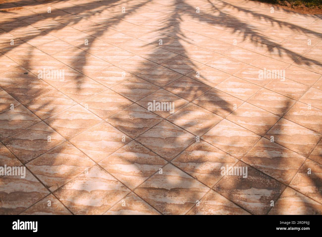 Shadows from trees are casted onto red tiles Stock Photo - Alamy
