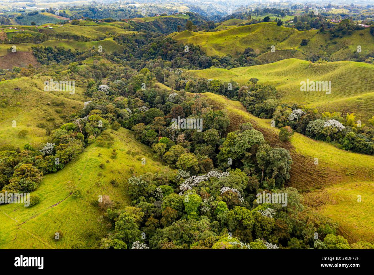 Aerial of the Unesco site coffee cultural landscape, Filandia, Colombia ...