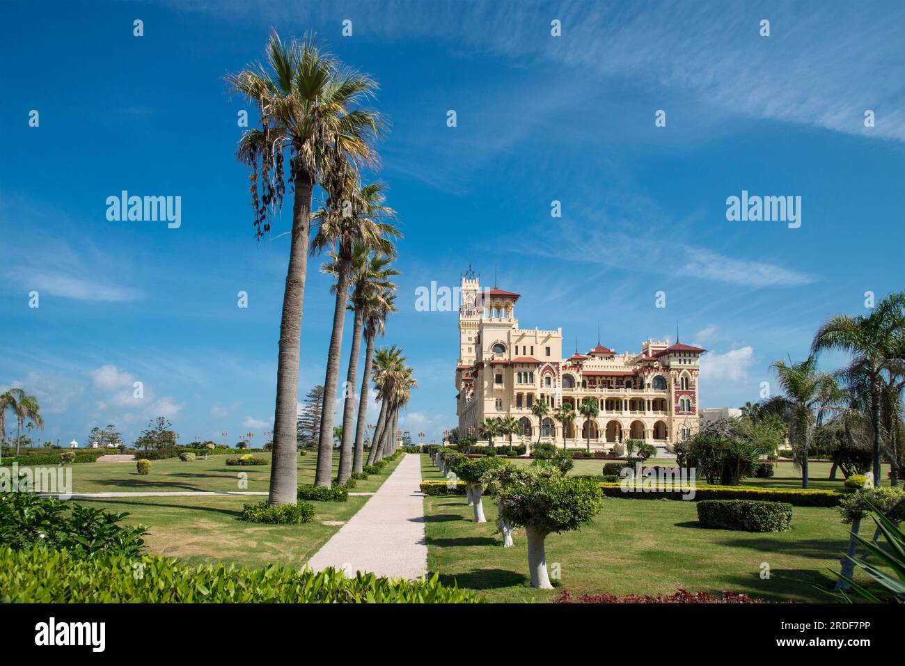 Egyptian tree hi-res stock photography and images - Alamy