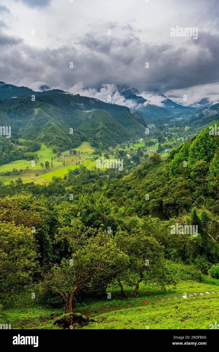 Overlook over the Valle de Cocora, Unesco site coffee cultural ...