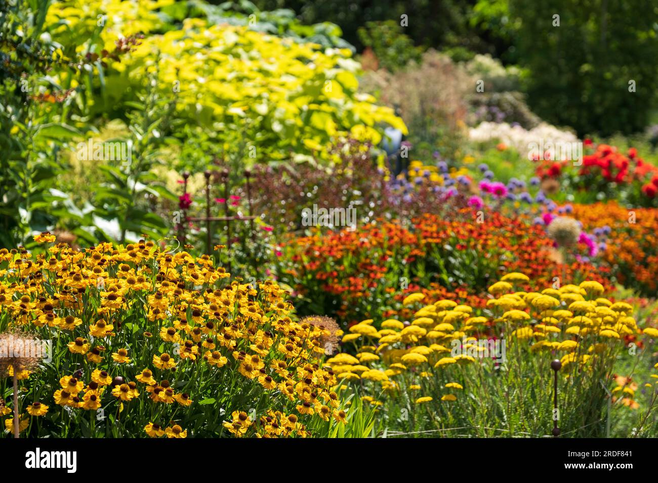 Mixed planting beds hi-res stock photography and images - Alamy