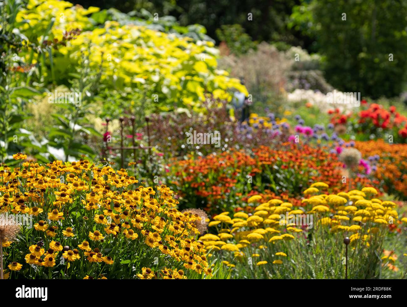 Stunning, colourful mixed flower borders at the RHS Wisley garden ...