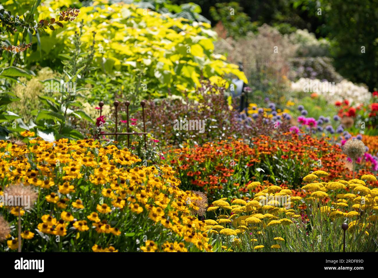 Stunning, colourful mixed flower borders at the RHS Wisley garden ...