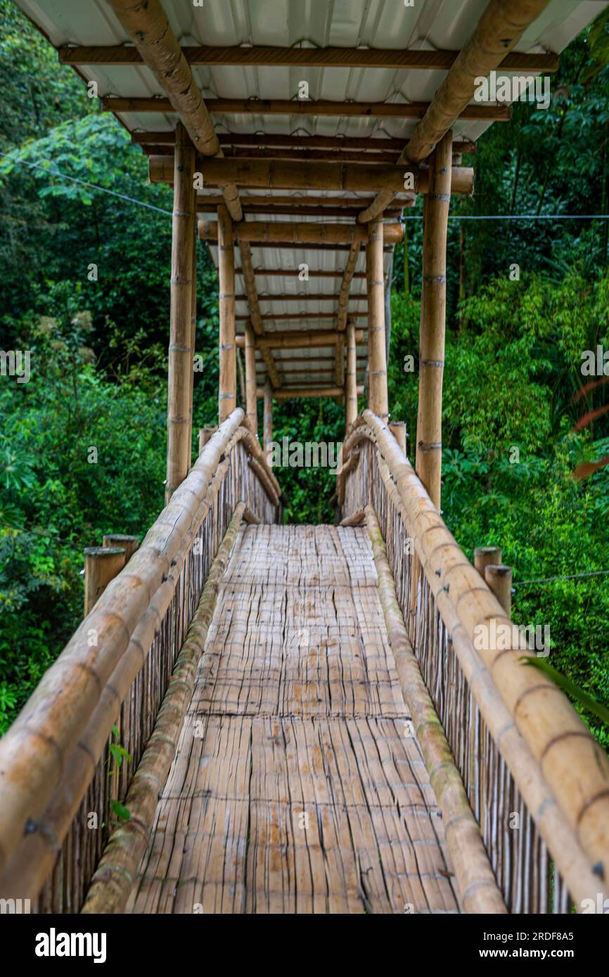 Bamboo bridge leading to the Unesco world heritage site, Tierradentro ...