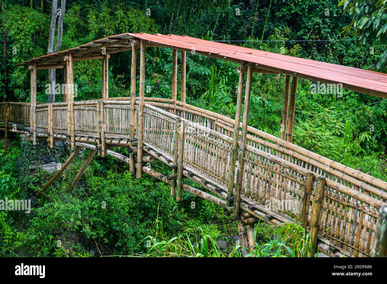 Bamboo bridge leading to the Unesco world heritage site, Tierradentro, Colombia Stock Photo - Alamy