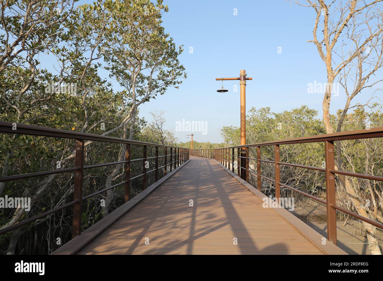 Jubail Island in Abu Dhabi Stock Photo - Alamy