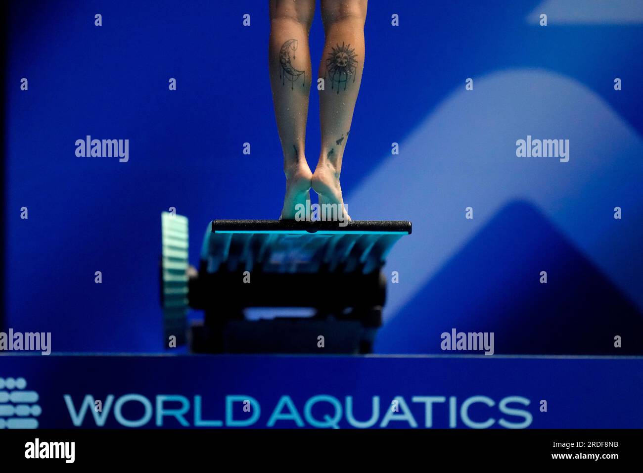 Pamela Ware of Canada competes during the women's 3m springboard diving ...